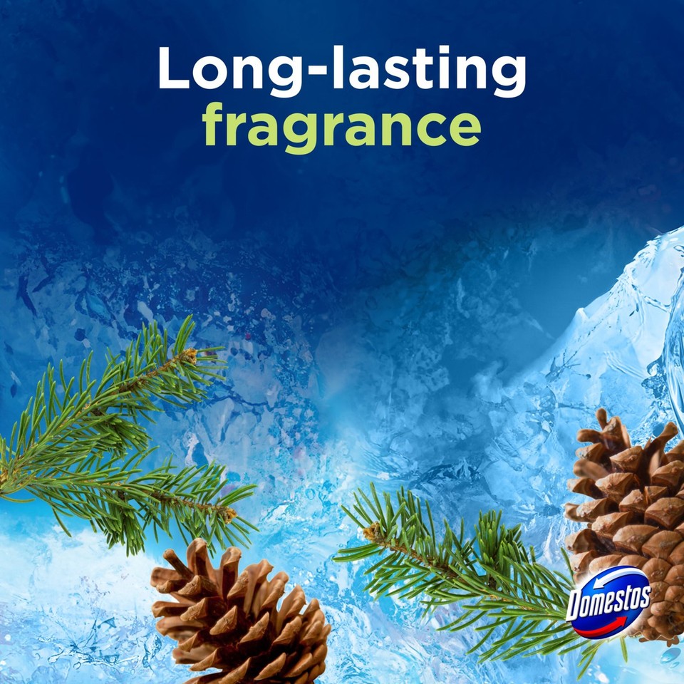 Domestos Power Rimblocks Duo Pine 2 x 50g - Morrisons Online Groceries ...