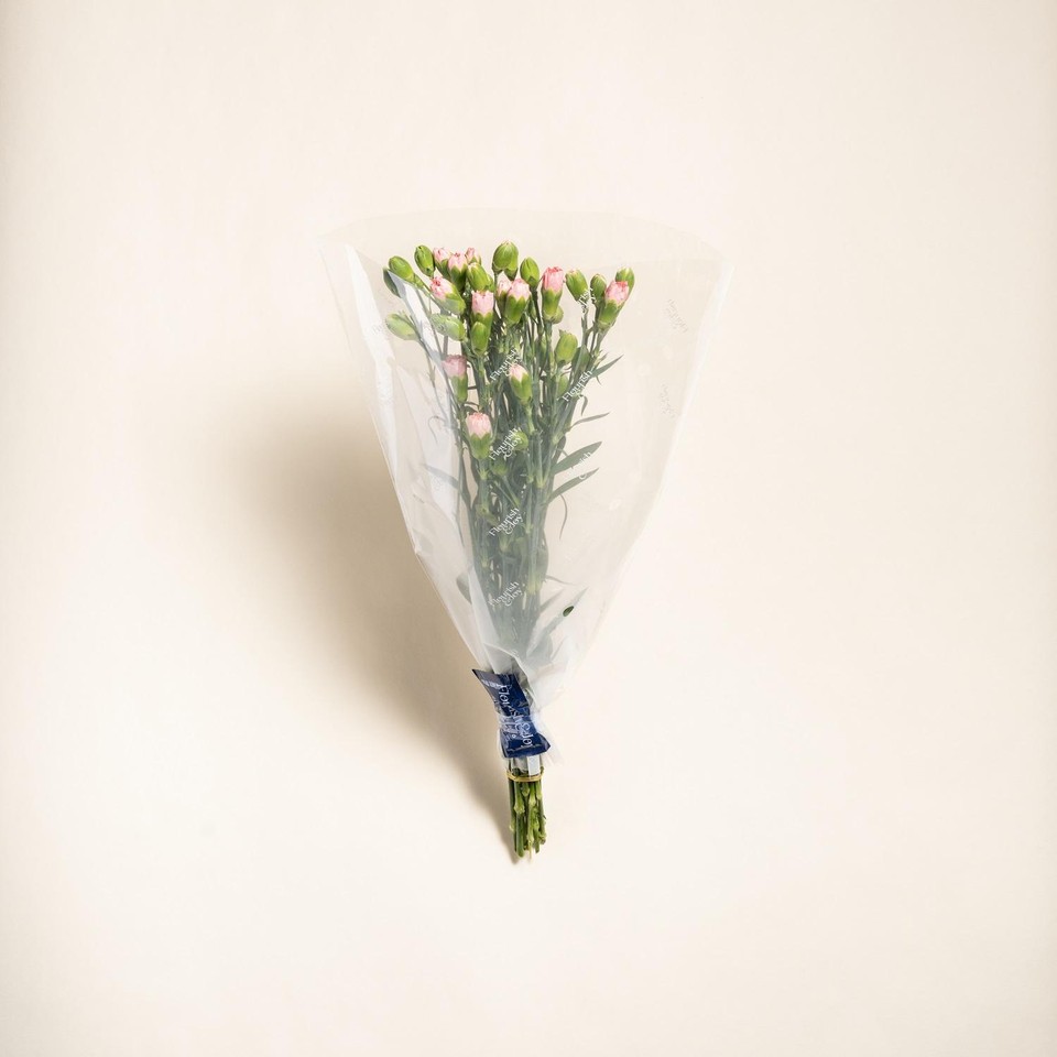 Morrisons Spray Carnation Flowers Bouquet - Morrisons Online Groceries ...